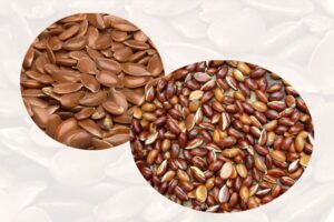 Mahua Tree | Uses, Fruit, Ayurvedic Benefits, Seeds, & Grow - Info ...